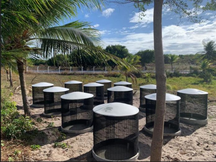 Colosso abre parque próprio de compostagem - Sabores da Cidade