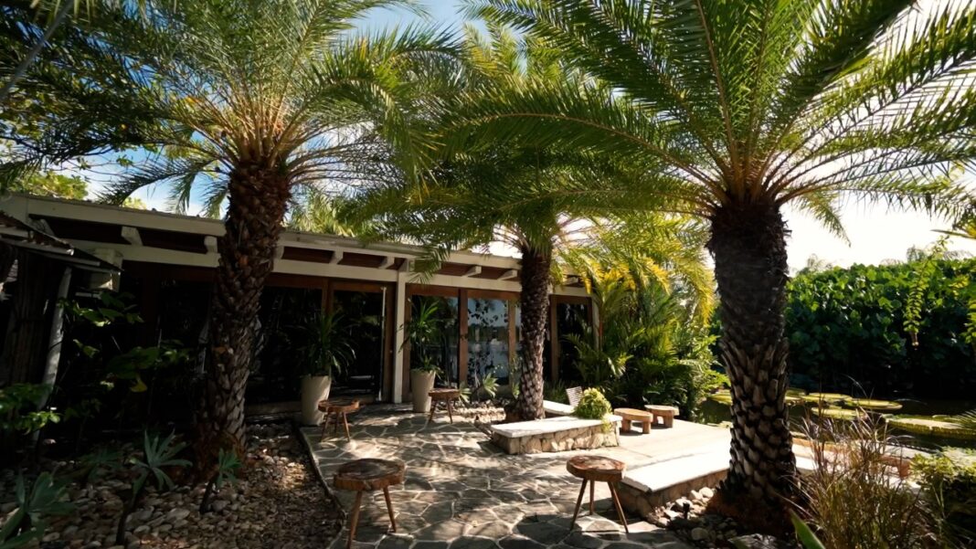 Grupo Colosso: inovação para oferecer as melhores experiências ...